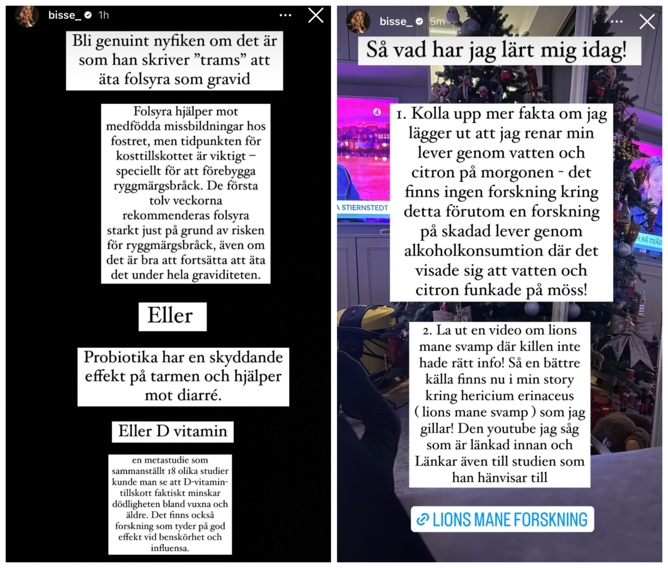 bisse2 - Bloggbevakning