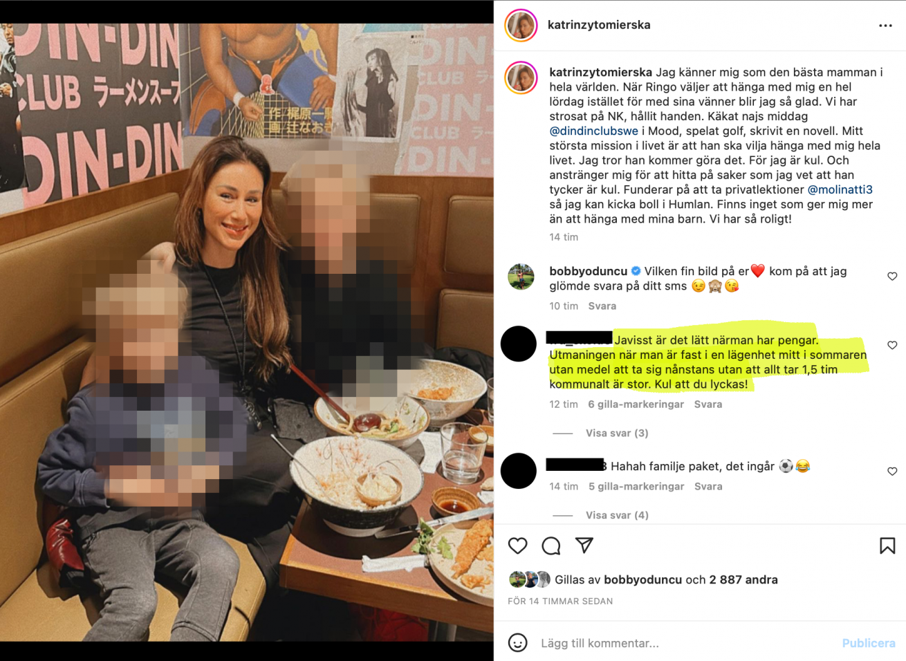 katt - Bloggbevakning