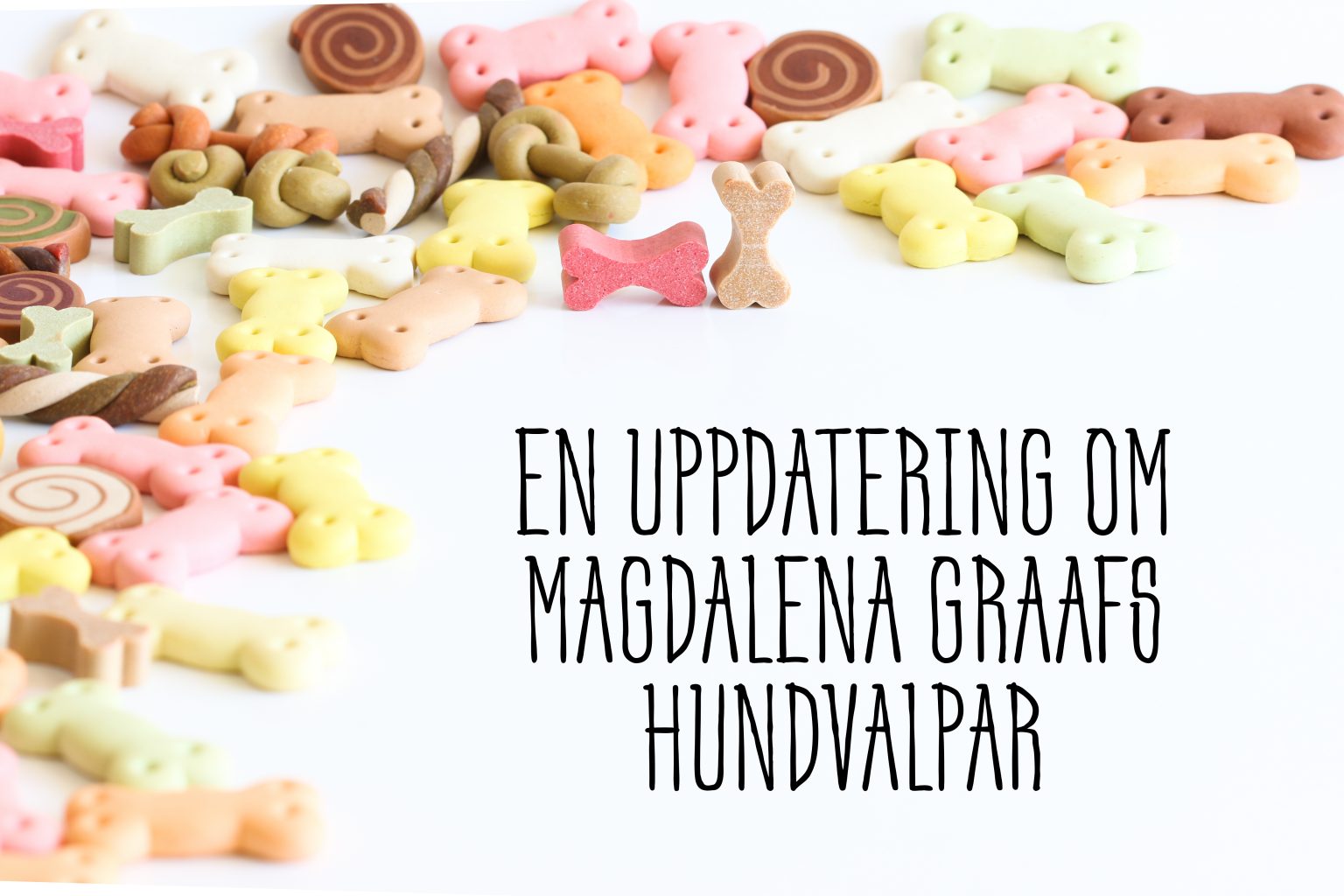 Valpar, valpar, valpar... - Bloggbevakning