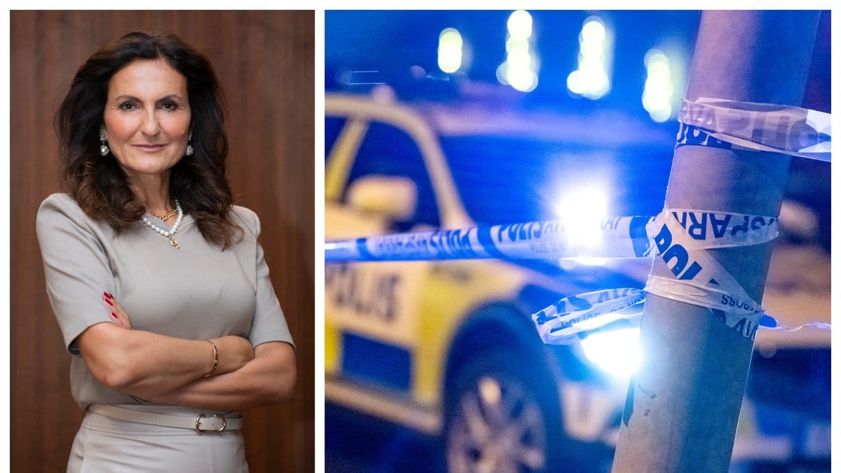 Allt om Gunilla von Platen: Företagen, mordet och maken